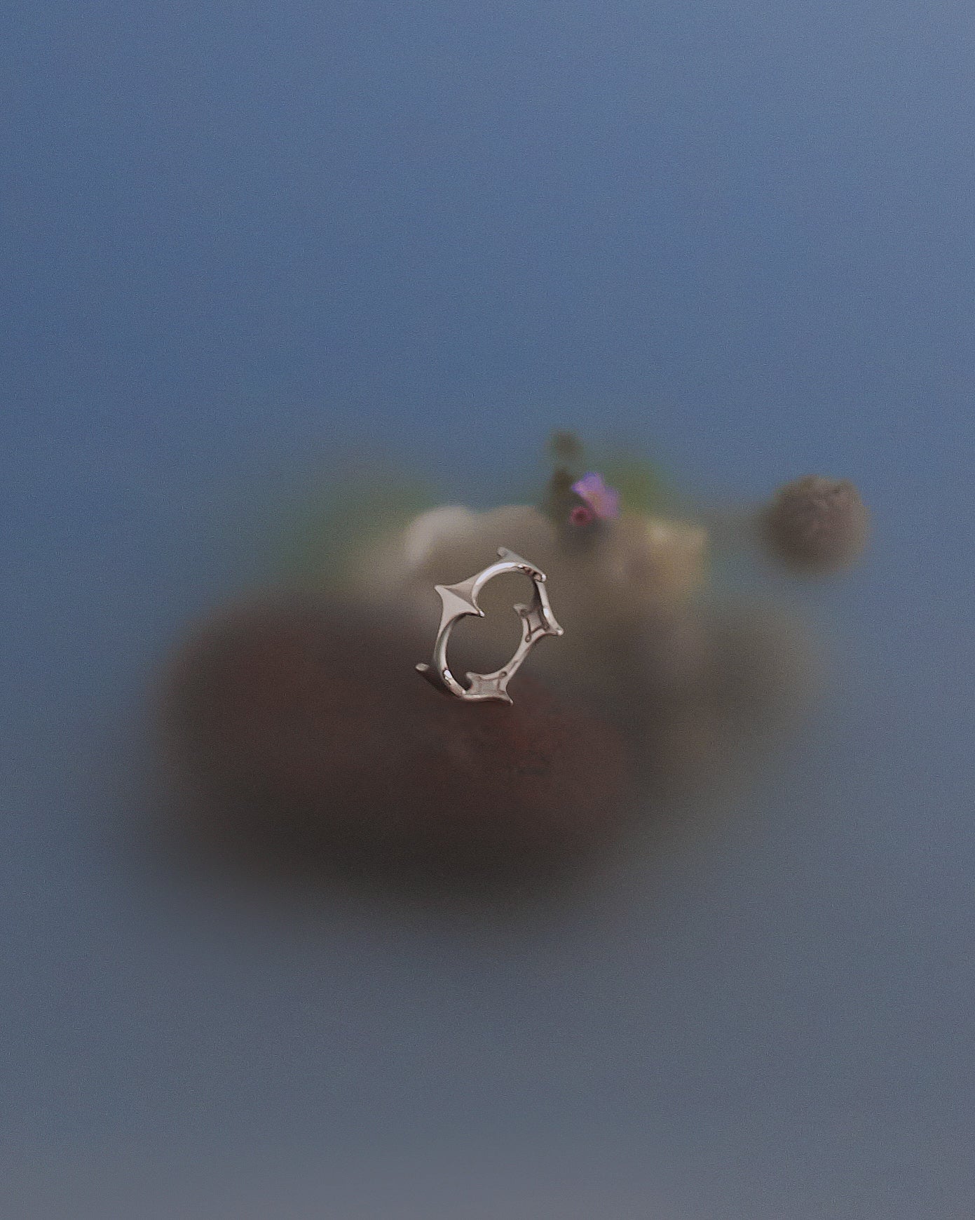 VIZ MAR ring – Alohagaia